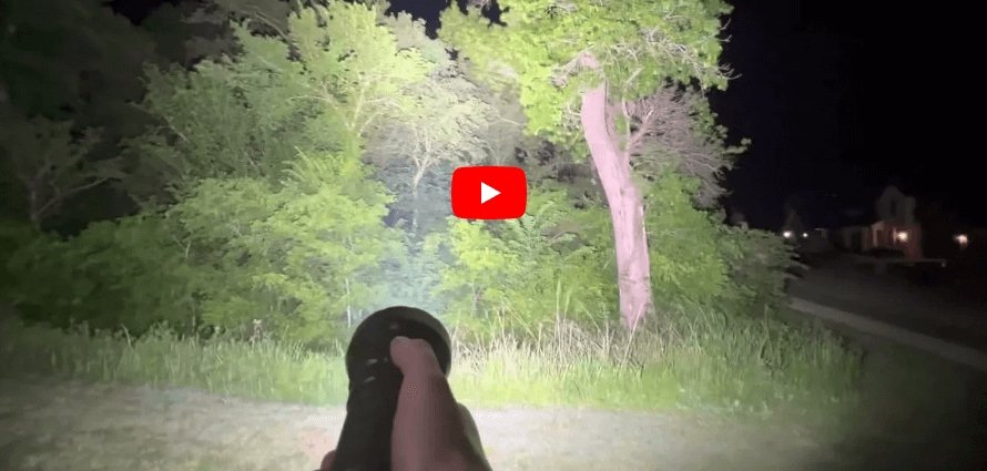 MS12 Mini Flashlight Instant Daylight